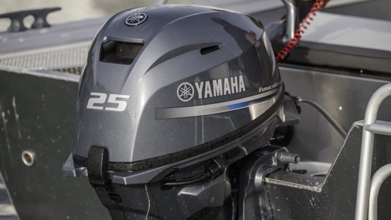 YAMAHA F25 – Yamaha
